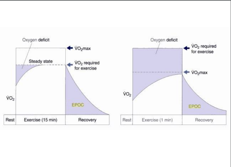 Solved Oxygen Deficit Oxygen Deficit VO2 Required For Chegg