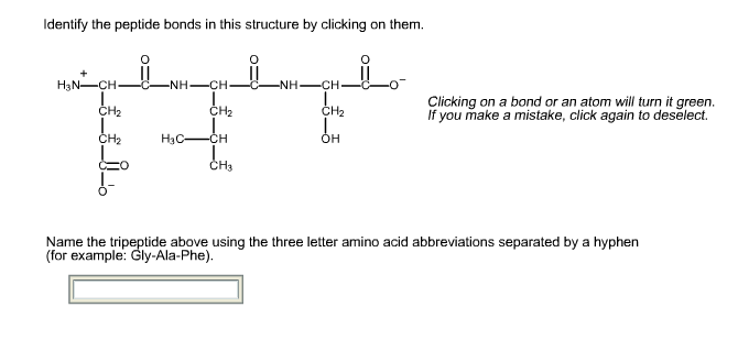 Solved Identify the peptide bonds in this structure by | Chegg.com