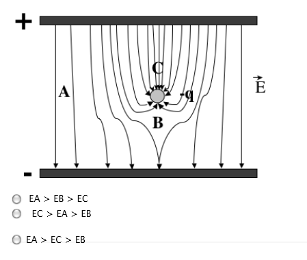 Solved The electric charges on the two metal plates shown | Chegg.com
