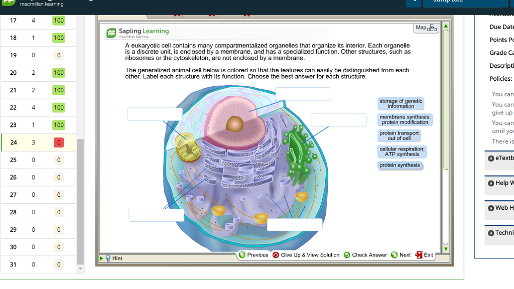 Solved: A Eukaryotic Cell Contains Many Compartmentalized ... | Chegg.com