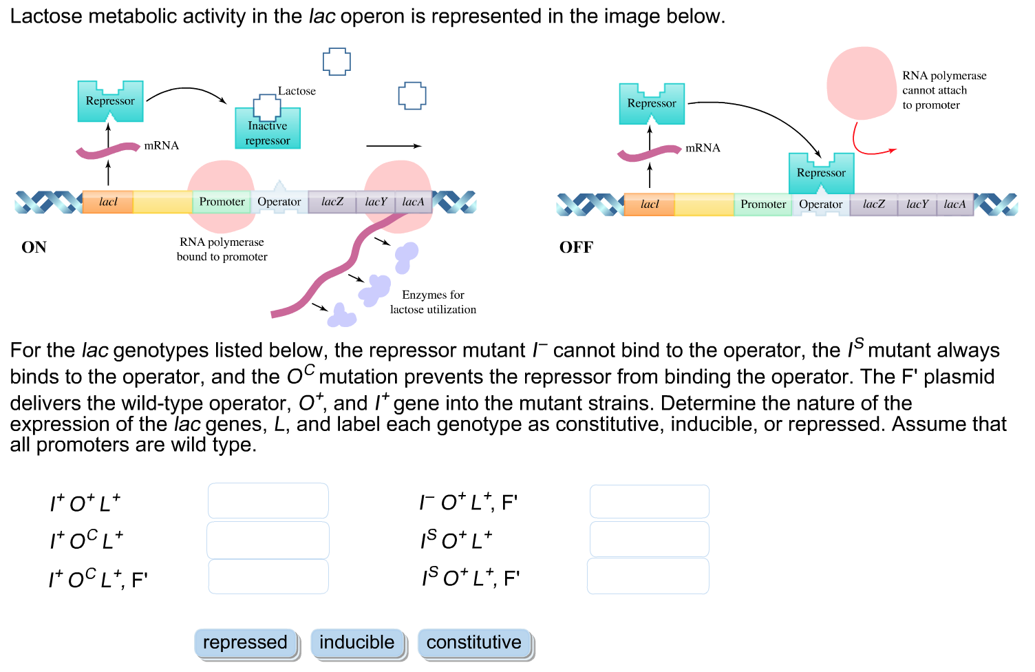 Solved Question: Determine the nature of the expression of | Chegg.com