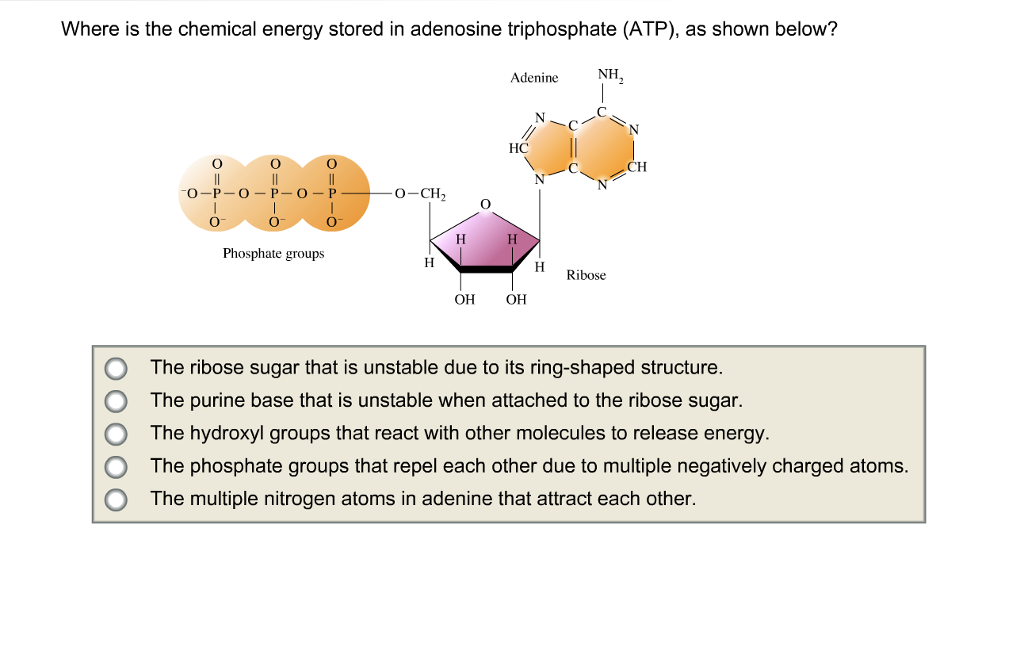 Solved This diagram shows the catalytic hydrolysis of | Chegg.com