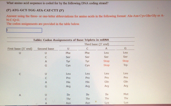 Solved What amino acid sequence is coded for by the | Chegg.com