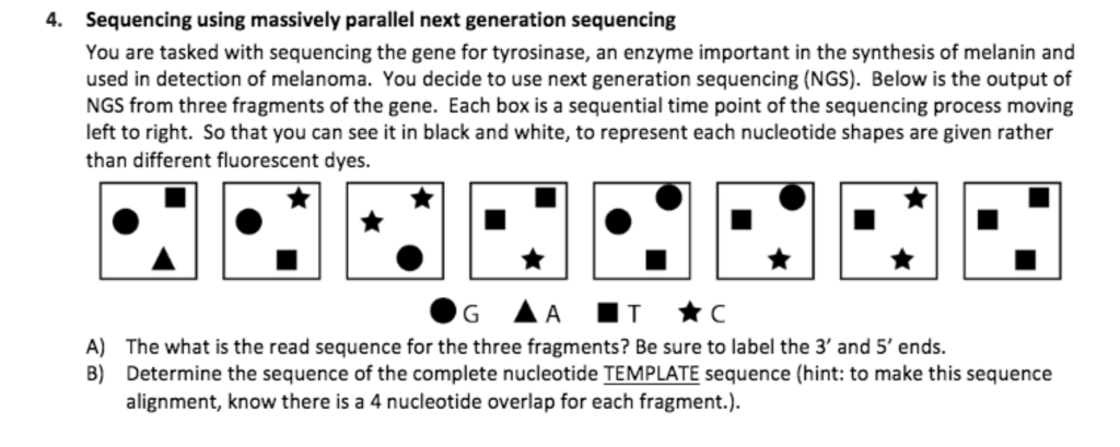Solved Sequencing using massively parallel next generation | Chegg.com