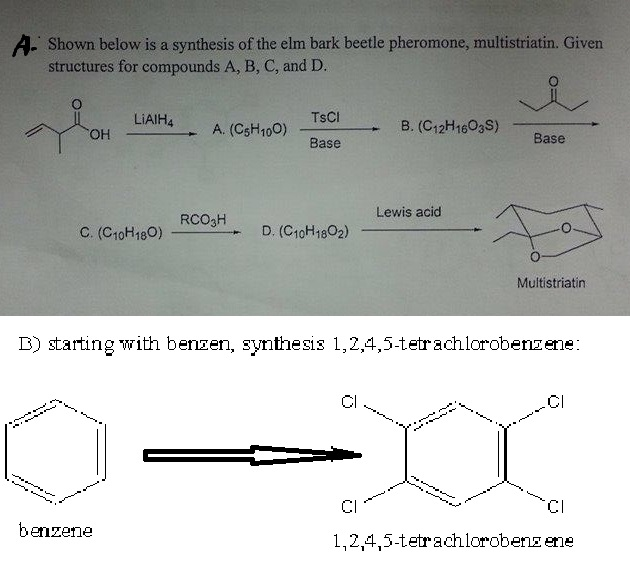 Solved A Shown below is a synthesis of the elm bark beetle | Chegg.com