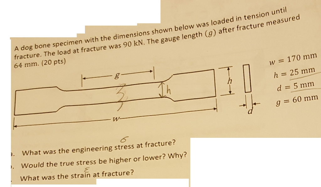 Solved A dog bone specimen with the dimensions shown below | Chegg.com