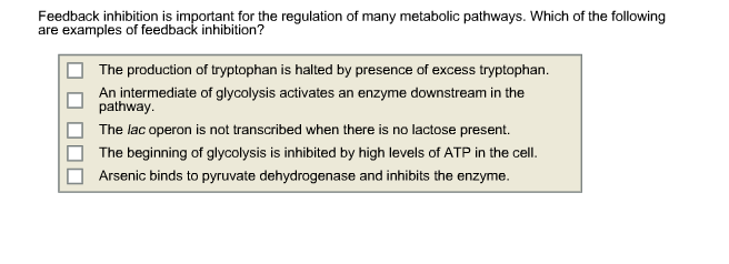 Solved Feedback inhibition is important for the regulation | Chegg.com