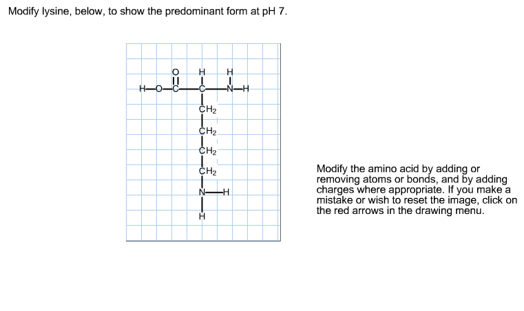 Solved Modify Lysine Below To Show The Predominant Form At 