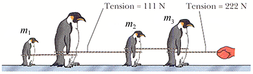 Solved Four Penguins Figure 3-35 shows four penguins that | Chegg.com