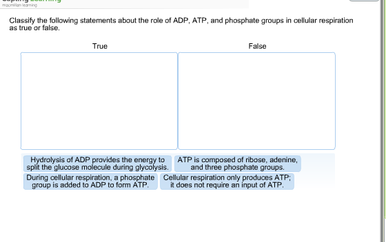 Solved Classify the following statements about the role of | Chegg.com