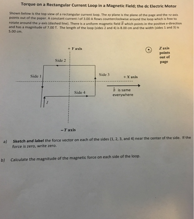 Solved Torque on a Rectangular Current Loop in a Magnetic | Chegg.com