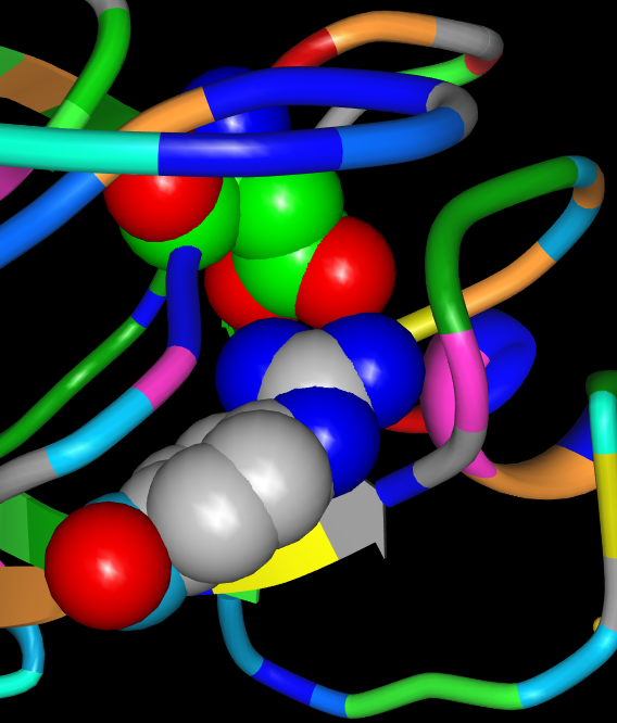 Solved g style inP the Asp 189 side chain overlap with to | Chegg.com