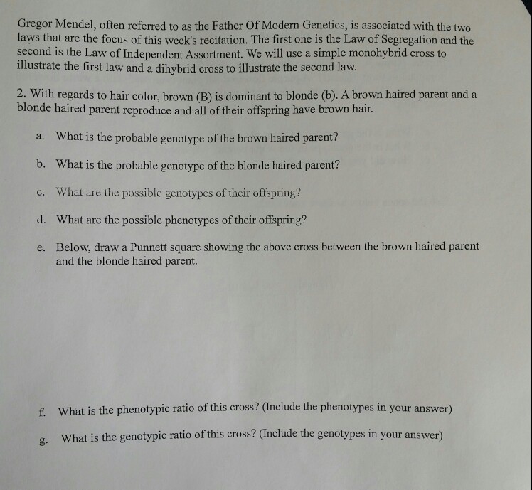Solved Recitation- Observable Patterns of Inheritance 1. In | Chegg.com