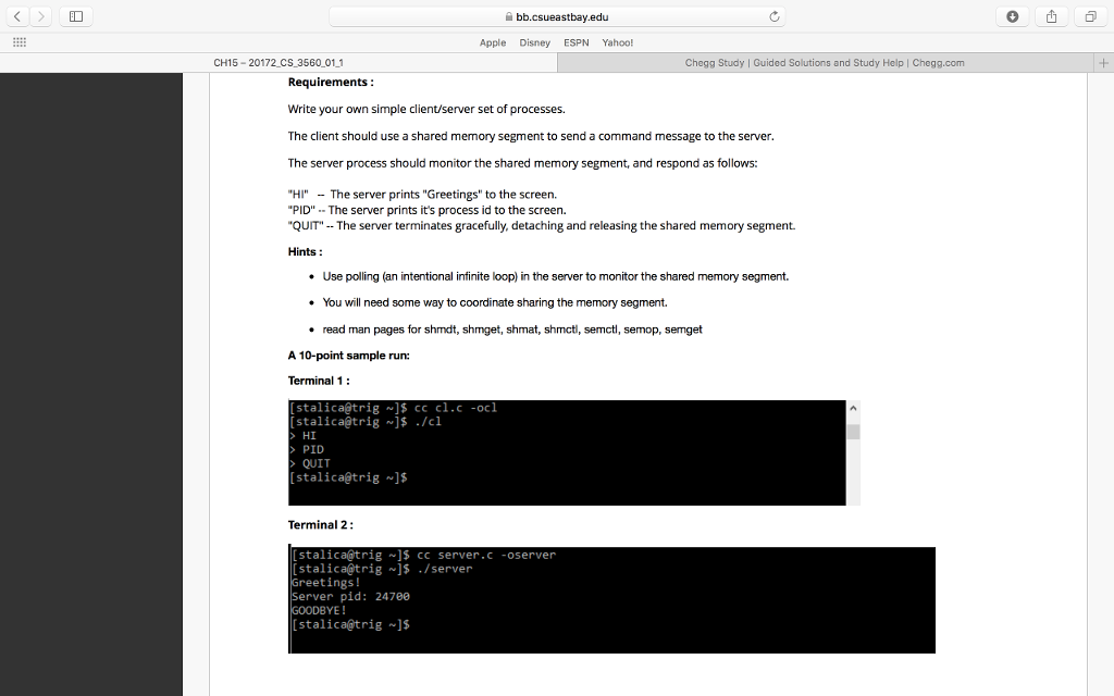 Solved Write your own simple client/server set of processes. | Chegg.com