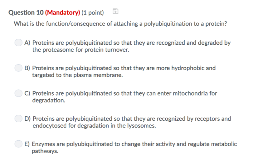 Solved Question 10 (Mandatory) (1 point) What is the | Chegg.com