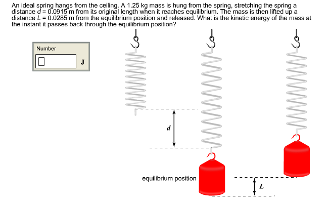 Solved: An Ideal Spring Hangs From The Ceiling. A 1.25 Kg ... | Chegg.com