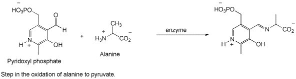 Solved PLEASE HELP!! Identify the mechanism by which each of | Chegg.com