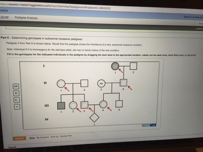 Solved Determining genotype in autosomal recessive pedigrees | Chegg.com Solved Determining genotype in autosomal recessive pedigrees | Chegg.com