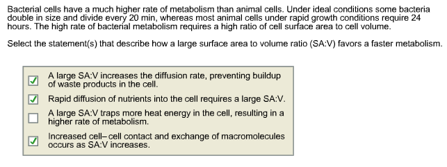 Solved Bacterial cells have a much higher rate of metabolism | Chegg.com