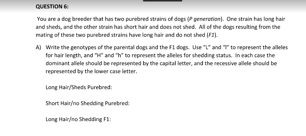 Solved QUESTION 6: You are a dog breeder that has two | Chegg.com
