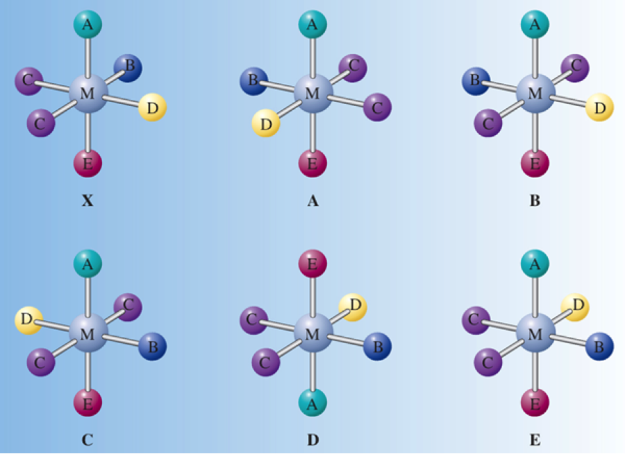 Solved 6. a) Which of the following molecular models of | Chegg.com
