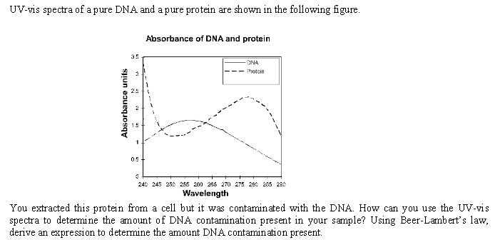 Solved UV-vis spectra of a pure DNA and a pure protein are | Chegg.com