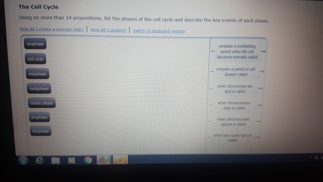 Solved The Cell Cycle Using no more than 14 propositions, | Chegg.com