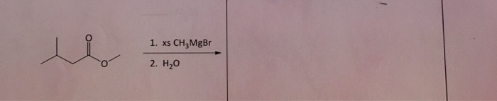 Solved 1. xs CH3 MgBr 2. H20 | Chegg.com