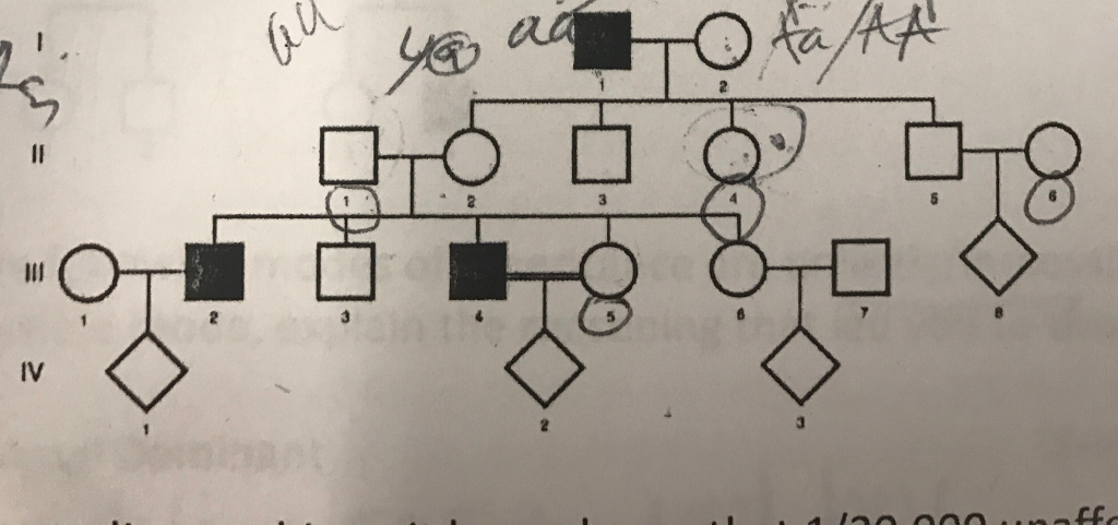 Solved Genetics Pedigree Analysis: For the pedigree below, | Chegg.com