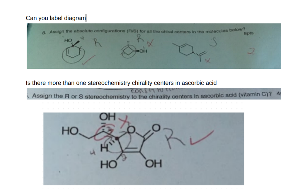 Solved Can you label diagram Assign the absolute | Chegg.com