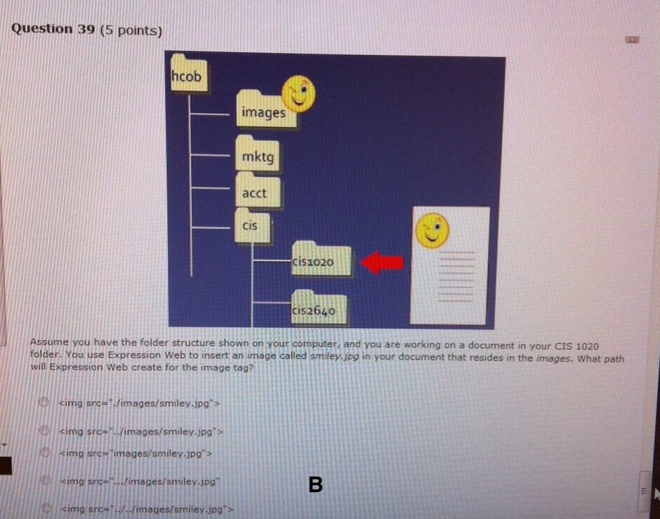 Solved Assume you have the folder structure shown on your | Chegg.com