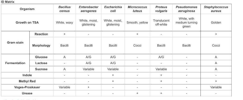 Solved You performed the following tests to identify your | Chegg.com