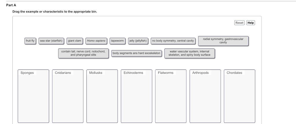 Solved Drag the example or characteristic to the appropriate | Chegg.com