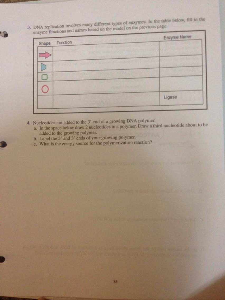 Solved 3. DNA replication involves many different types of | Chegg.com