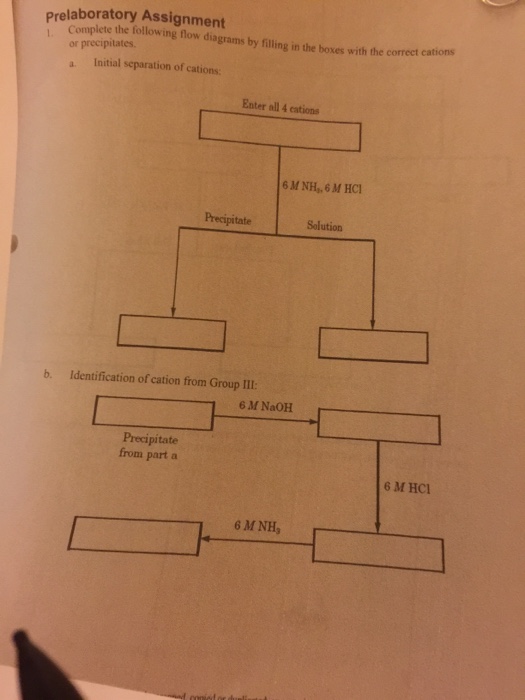 Complete The Following Flow Diagram Summarizing The Separati Complete The Following Flow Diagram Summarizing The Separati