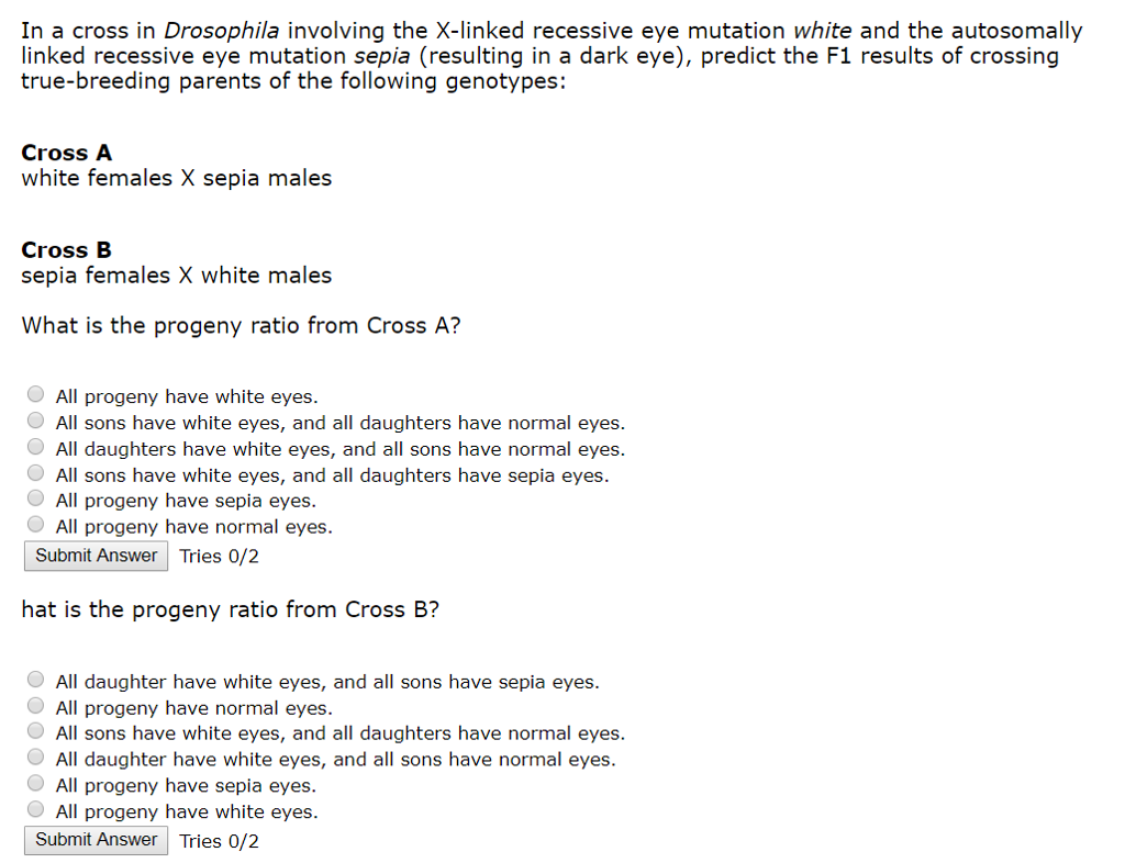 Solved In a cross in Drosophila involving the X-linked | Chegg.com