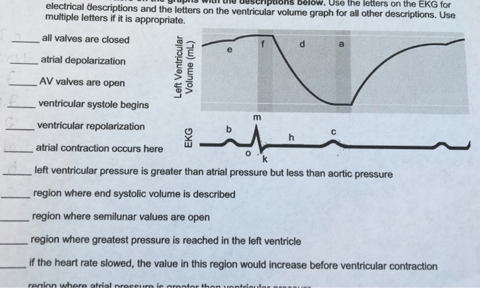 Solved Use the letters on the EKG for multiple letters if | Chegg.com