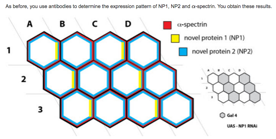 Solved I JUST NEED PART C ANSWERED. :) Suppose that you | Chegg.com