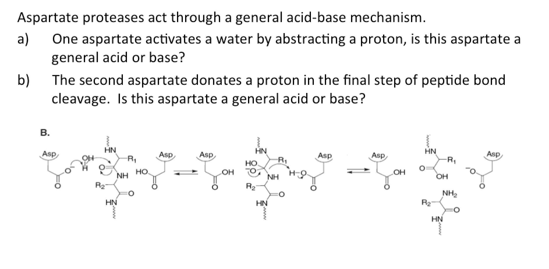 Solved Aspartate proteases act through a general acid-base | Chegg.com