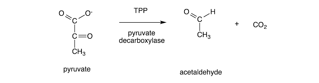 Decarboxylation Of Pyruvate