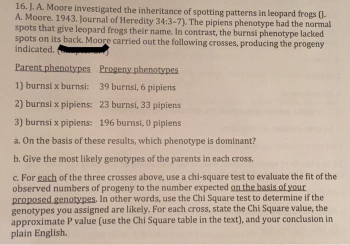 J. A. Moore investigated the inheritance of spotting | Chegg.com