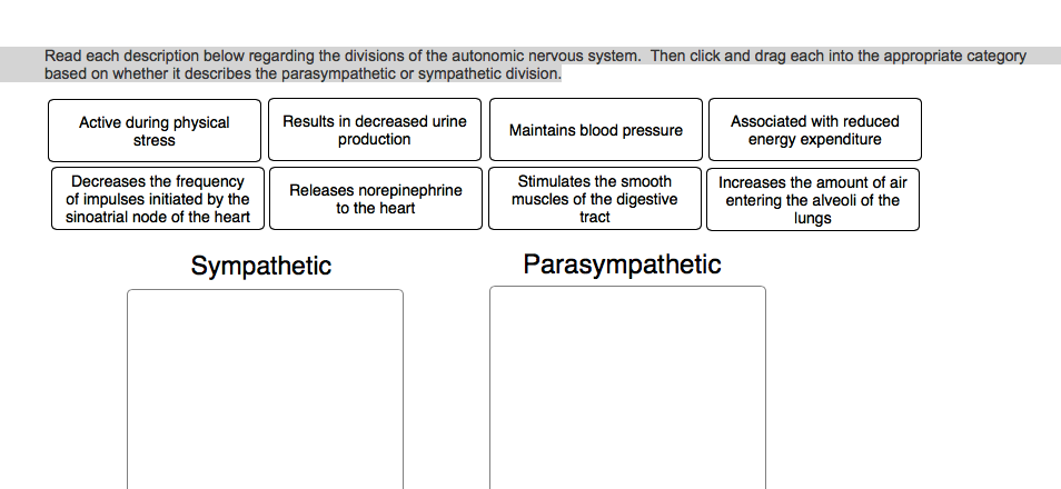 Solved Read each description below regarding the divisions | Chegg.com