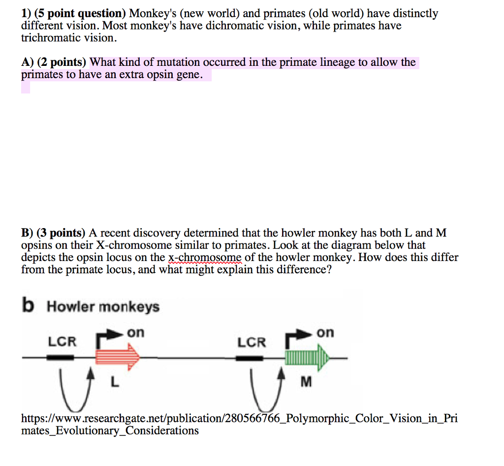 Solved 1) (5 point question) Monkey's (new world) and | Chegg.com