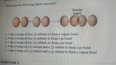 Solved What does the following figure represent? a. the | Chegg.com