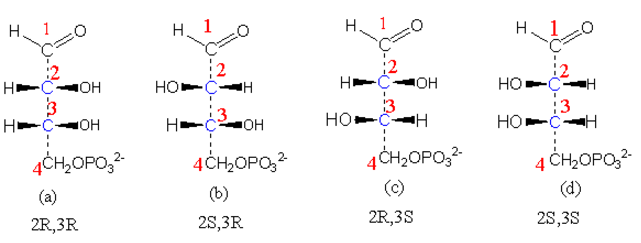 Solved it's about the RS system. Organic Chemistry. I | Chegg.com