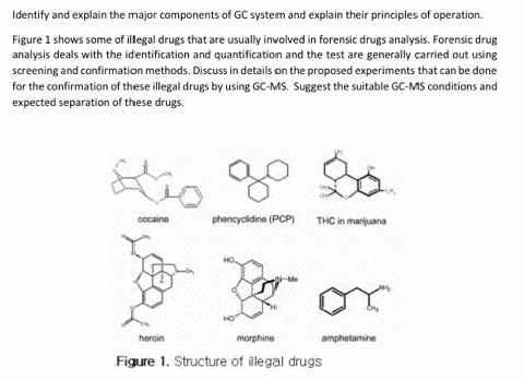 Solved Identify and explain the major components of GC | Chegg.com
