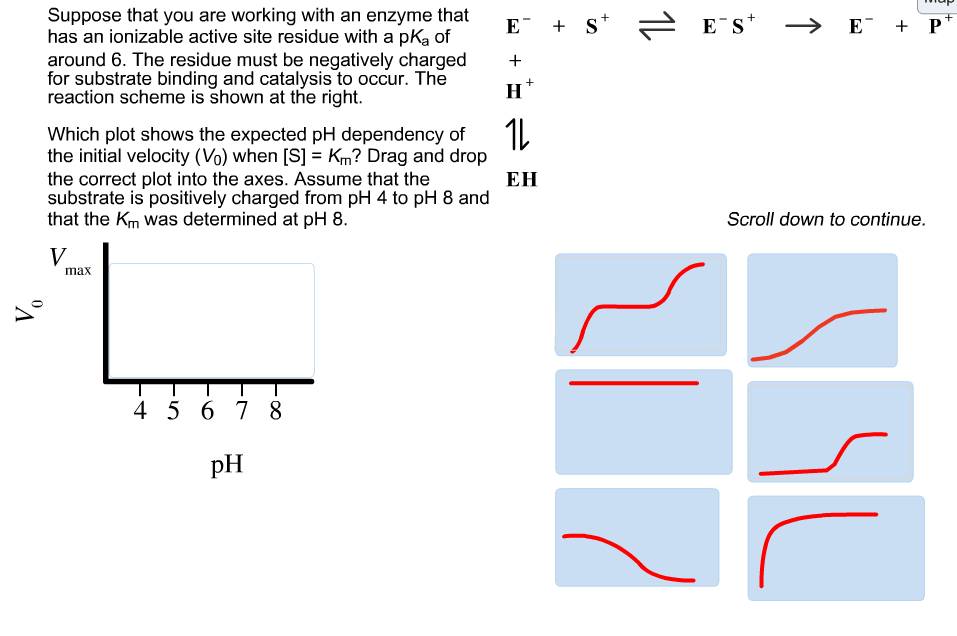Solved Suppose that you are working with an enzyme that F-+ | Chegg.com
