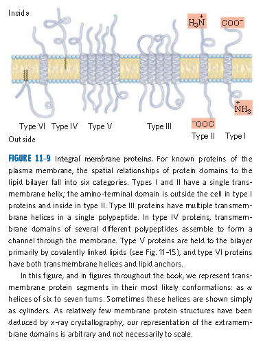 Solved Inside Hlnc00 Type Vi Type Iv Type V Outside Nh Type 4253