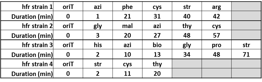 Solved Four Hfr strains of E. coli are known to transfer | Chegg.com