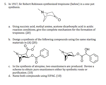Solved In 1917, Sir Robert Robinson synthesized tropinone | Chegg.com